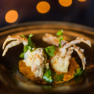 Gallery – Shokunin